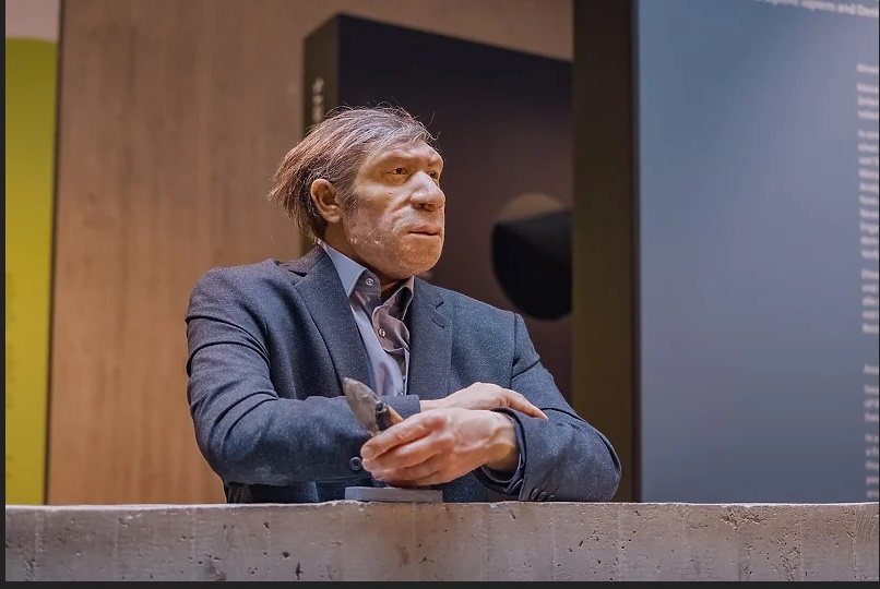 Nova studija kaže da su se neandertalci odvojili od “modernih ljudi” prije 408.000 godina – Haber.ba