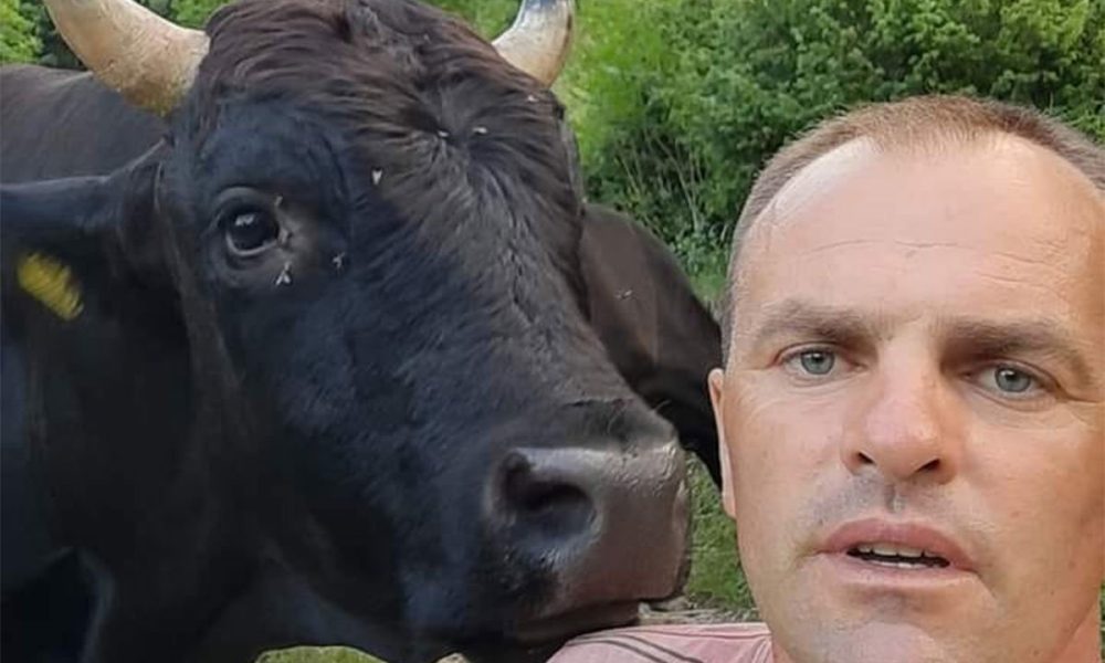 Bik usmrtio vlasnika u Jajcu – Haber.ba